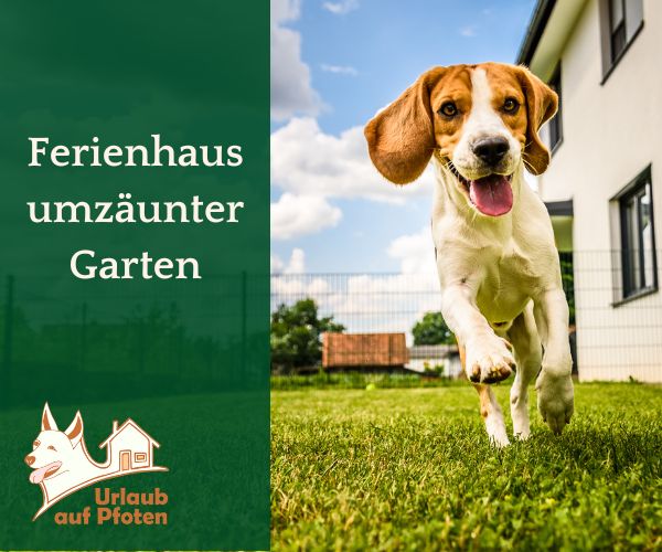 Ferienhaus Umzaunt Mit Hund